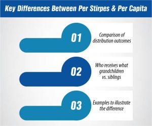Difference between per stirpes and per capita?